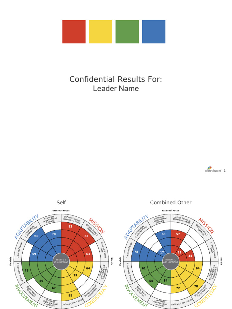 Leadership Capabilities Assessment Report | PDF