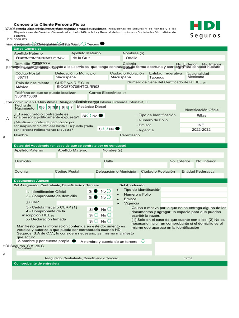 Formato Conoce a tu Cliente HDI | PDF