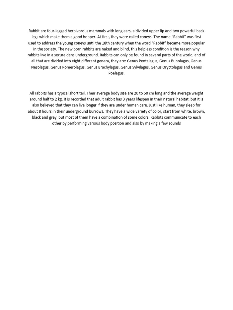 Rabbit Report Teks | PDF