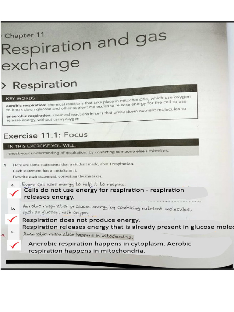 Corrected U11 Test Paper Mary Jones 4ed | PDF