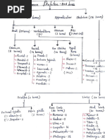 Human Skeleton All Bones Chart | PDF | Anatomy | Musculoskeletal System