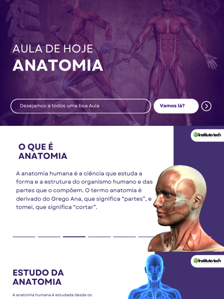 Aula Anatomia Pdf Corpo Humano Anatomia