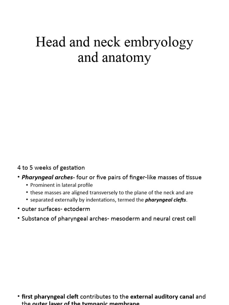 9 ENT Head and Neck Embryology and Anatomy and LN Group 04182024 | PDF ...