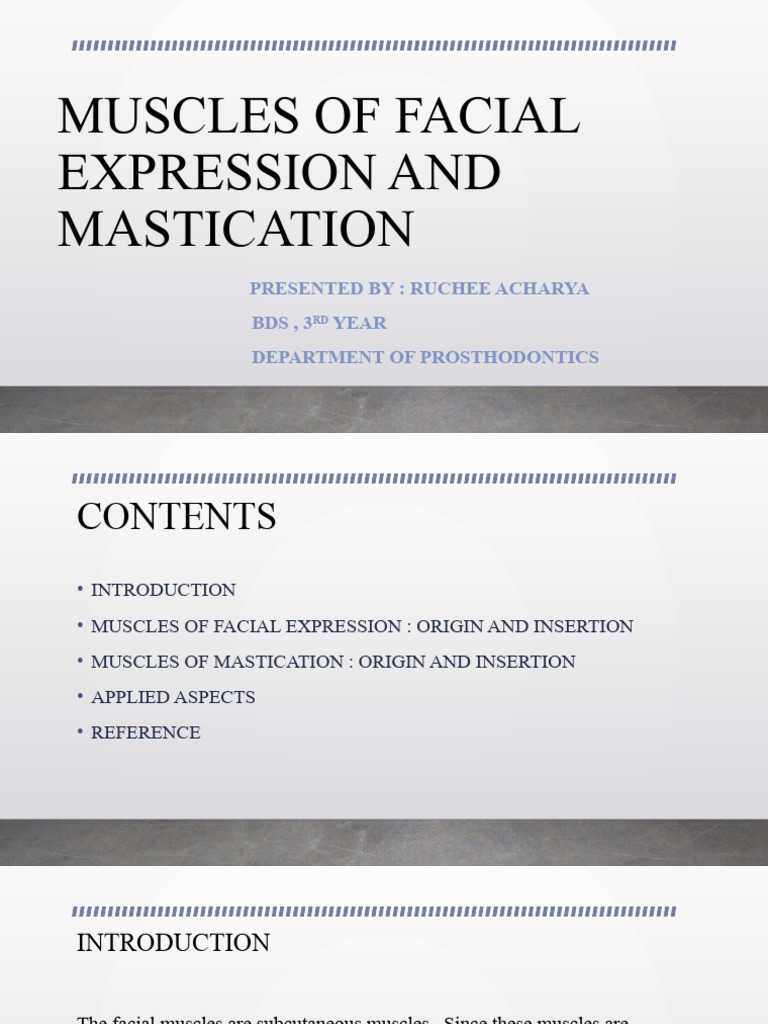 Muscles of Facial Expression and Mastication | PDF | Lip | Anatomy
