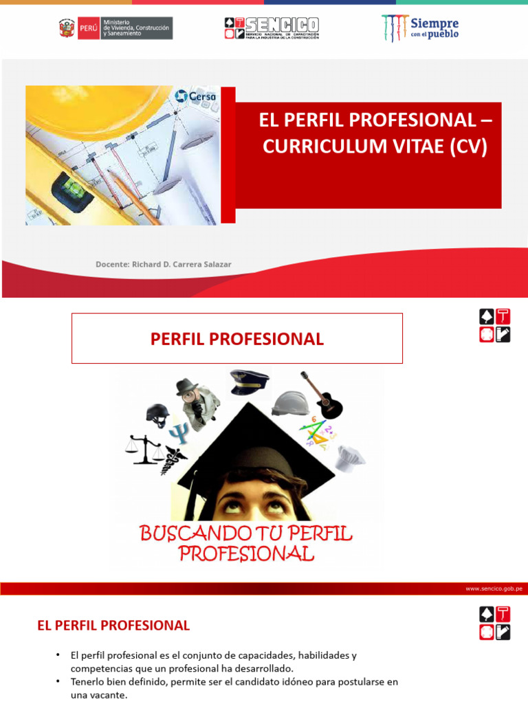 El Perfil Profesional - Curriculum Vitae (CV) : Docente: Richard D. Carrera Salazar | PDF ...