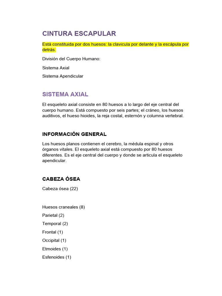 Guia De Anatomia Pdf Esqueleto Hueso