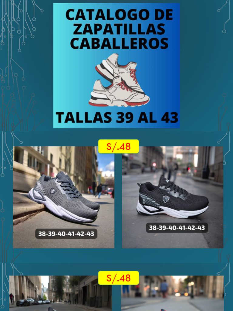 Precios Caballero Junio 10 | PDF