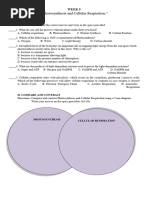 Brendan G Irvin - Amoeba Sisters Photosynthesis and Respiration Video ...