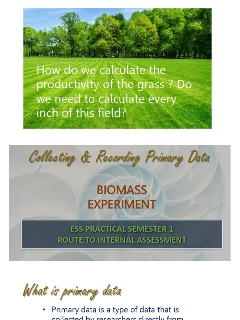 Biomass Experiment | PDF | Significant Figures | Uncertainty