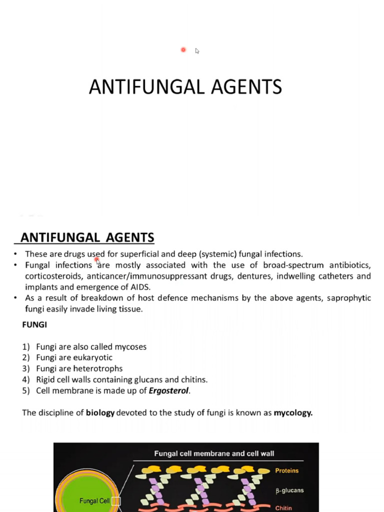 Unit 4 - Antifungal Agents | PDF