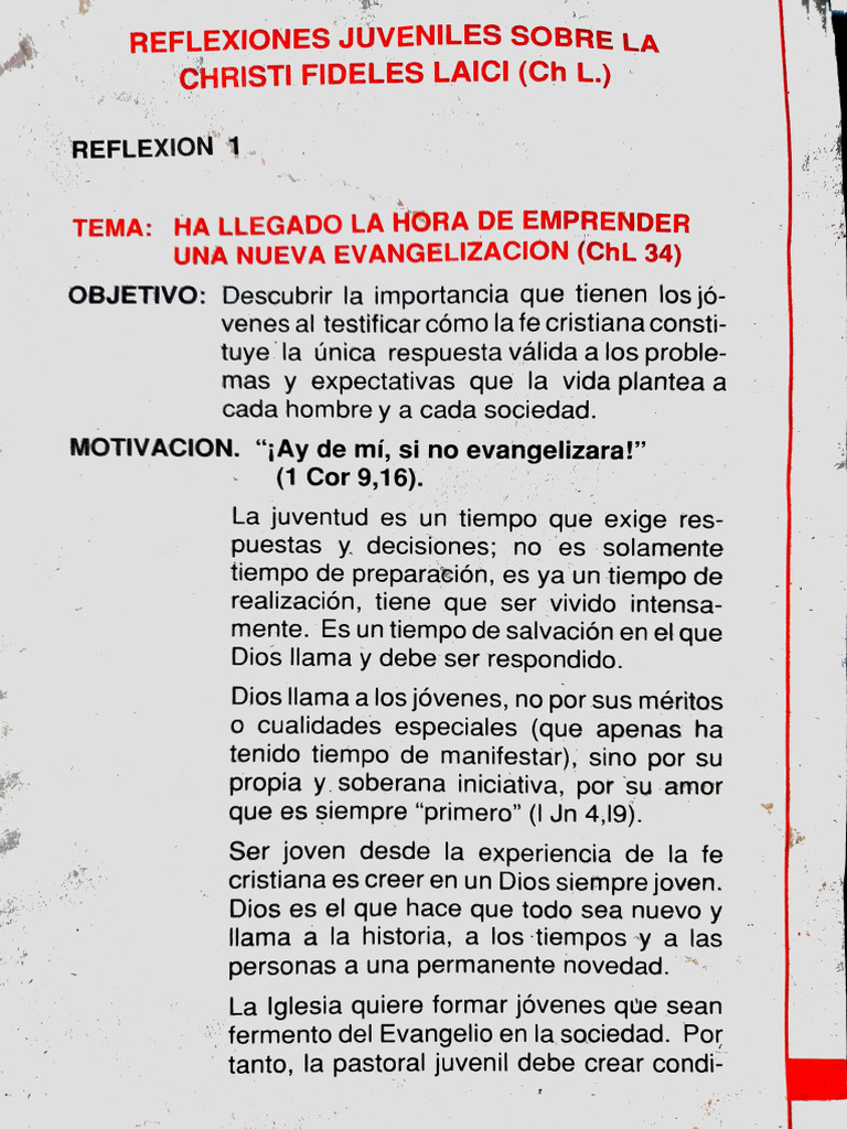 Reflexion Juveniles CH L | PDF