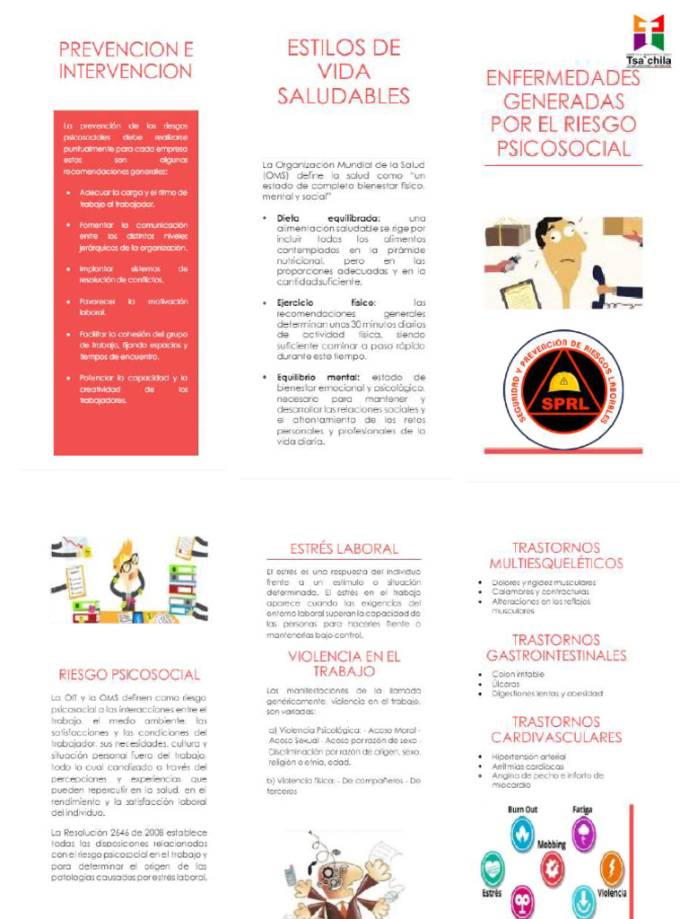 folleto | PDF