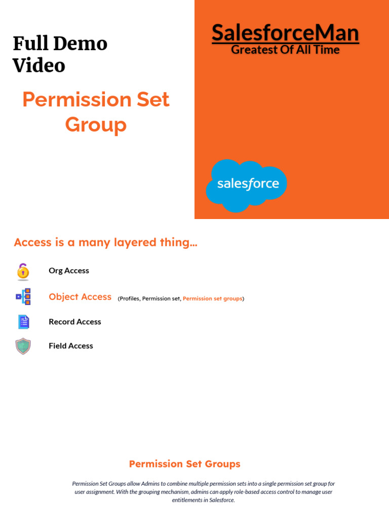 Permission Set Group | PDF