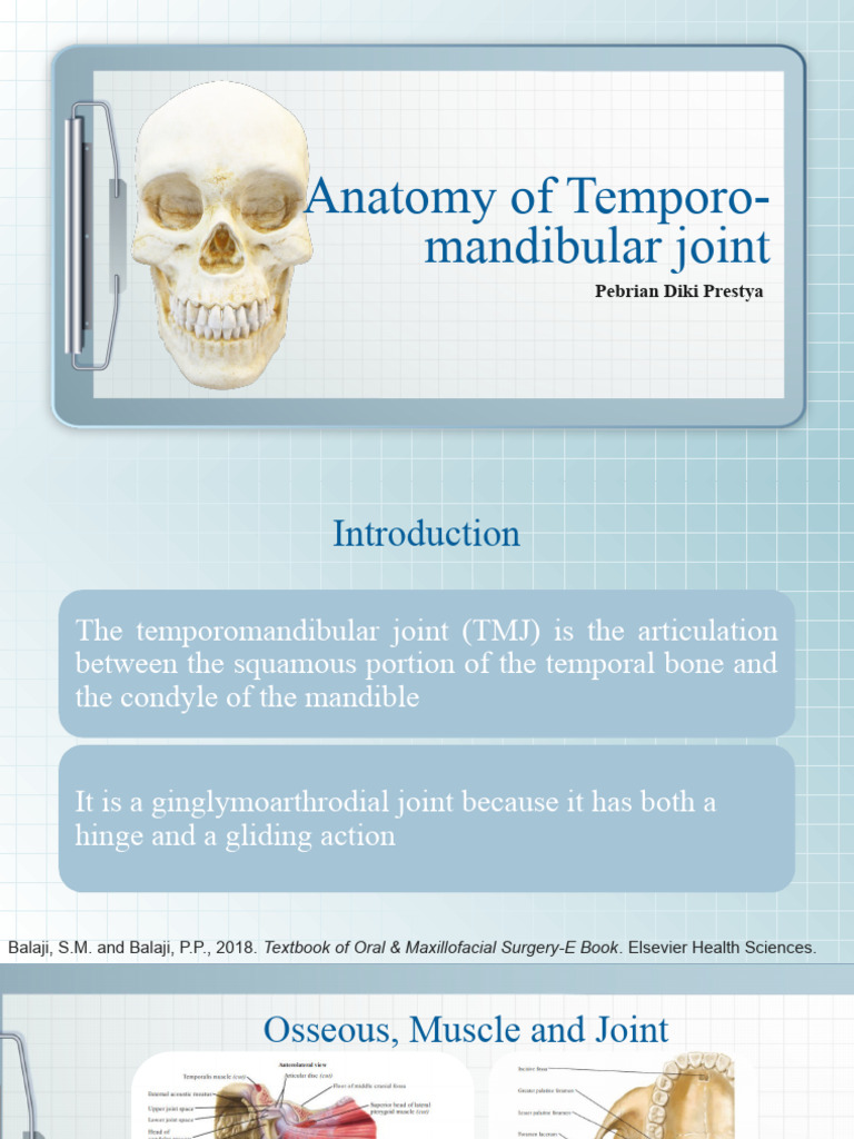 Anatomy of TMJ - Pebrian | PDF | Human Head And Neck | Anatomy