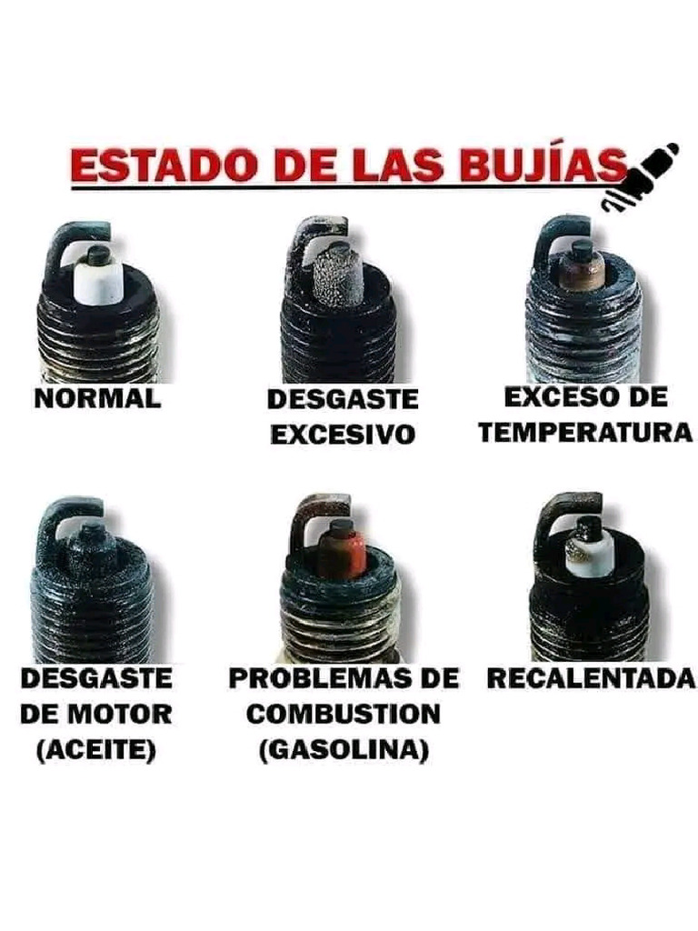 Images (Powered by MaxAI) | PDF