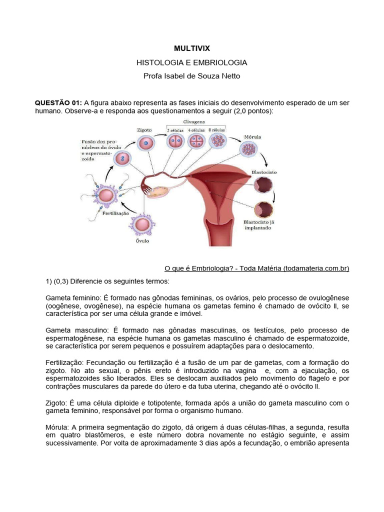 Histologia e Embriologia EAD ATIVIDADE AVA | PDF | Vírus da Zika | Epitélio