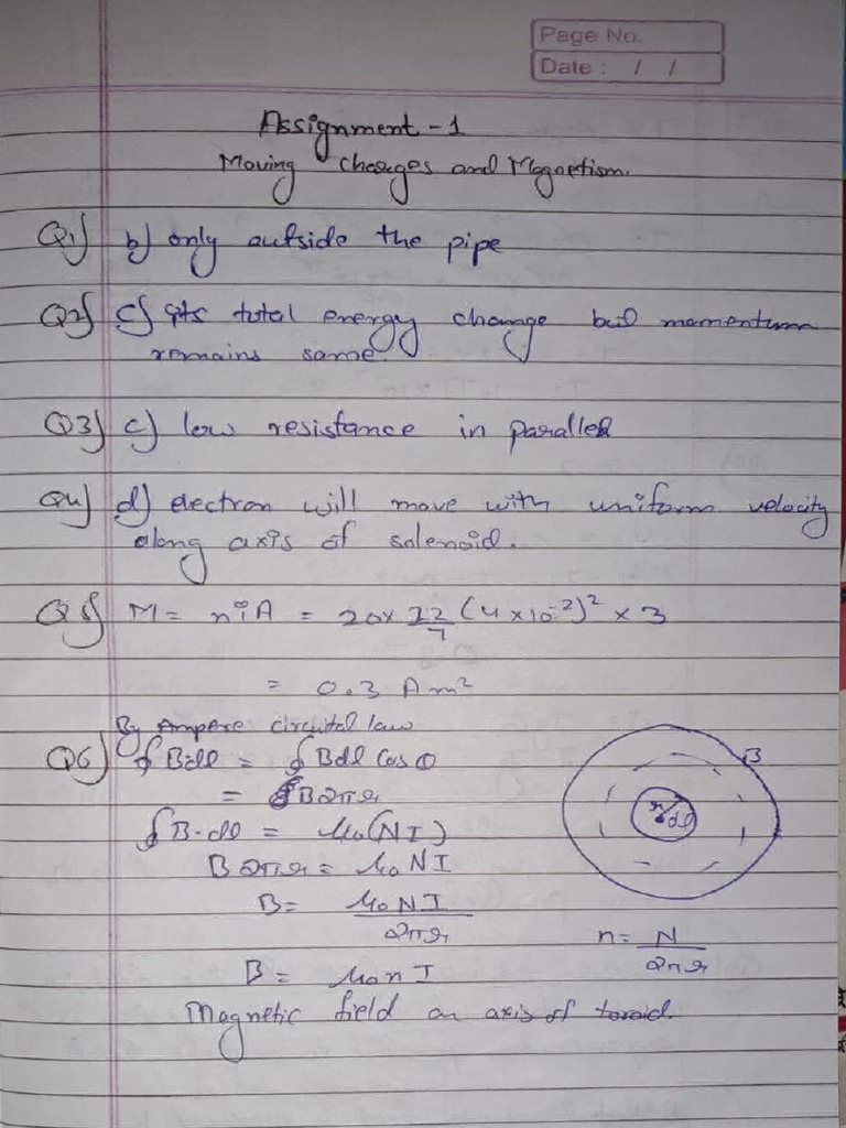 Assignment Physics Class 12 | PDF