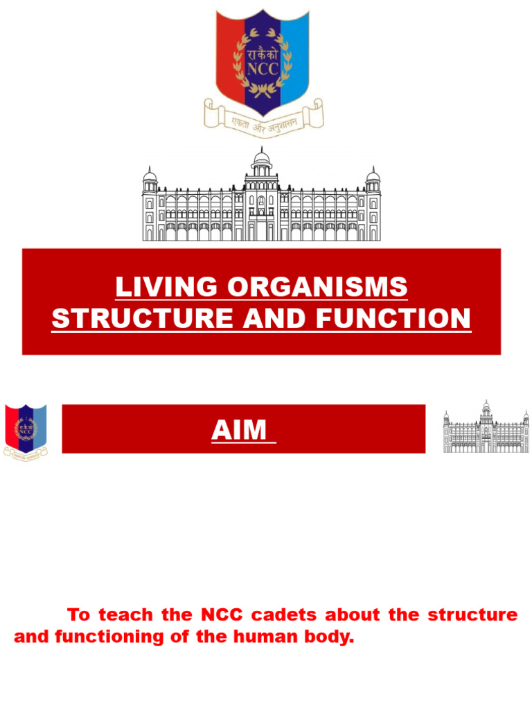 H 1 (PRCN) Structure & Function of Human Body | PDF | Muscle | Human Body