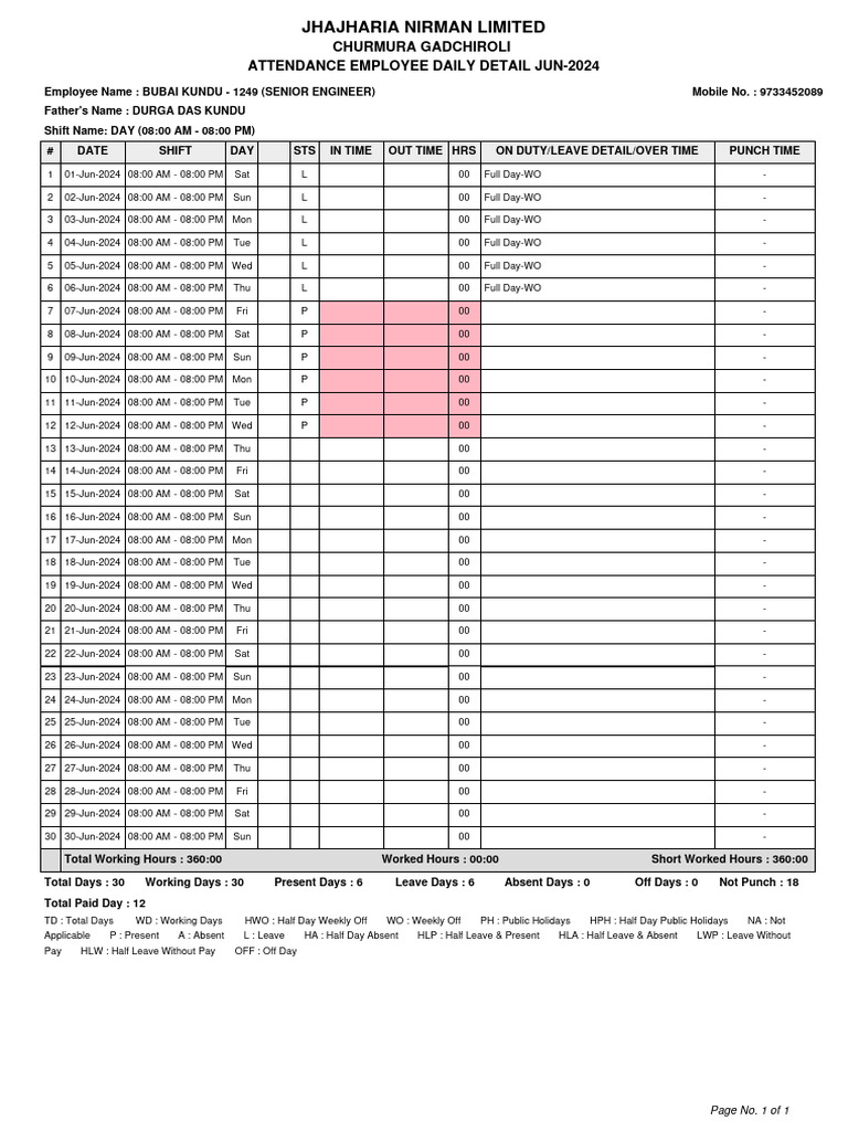 June 2024 Employee Attendance Report | PDF