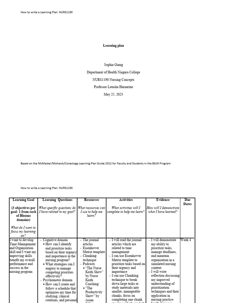 Nursing Learning Plan Guide | PDF | Nursing | Learning