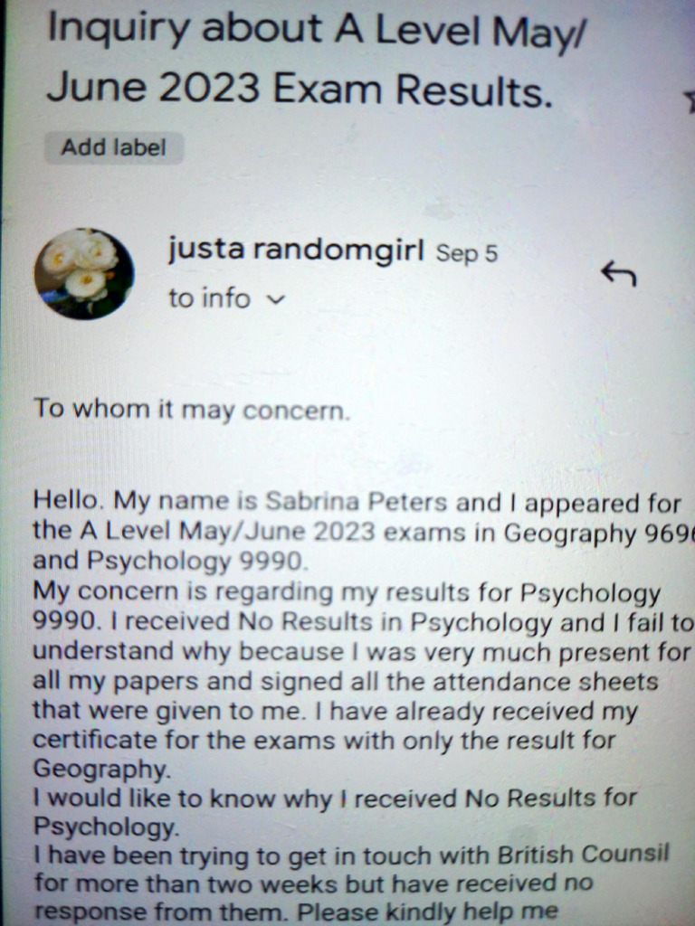 British Council Emails | PDF