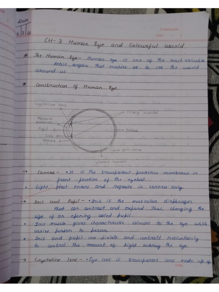 Physics Ch 3 Human Eye And The Colourful World Pdf