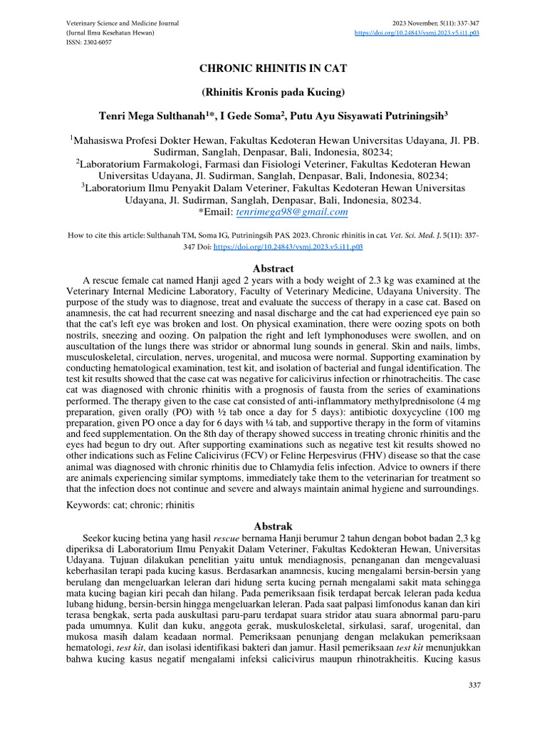 Rhinitis Kronis Kucing: Diagnosis dan Terapi | PDF