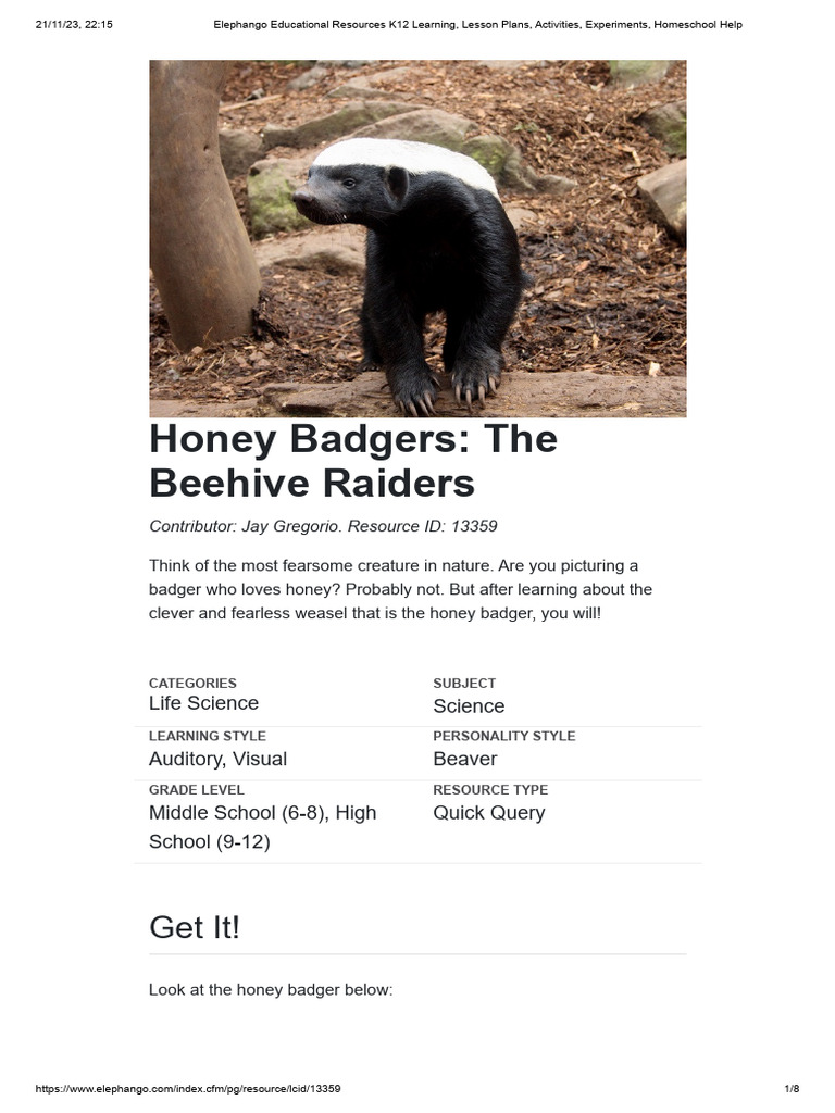 Honey Badgers The Beehive Raiders | PDF | Zoology