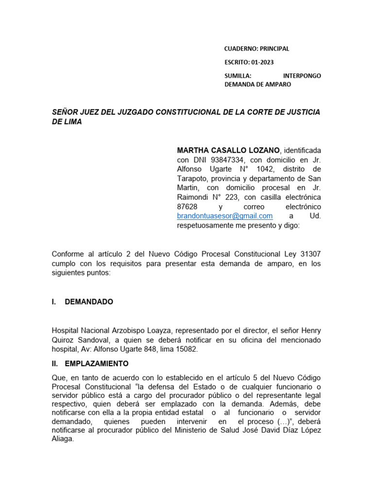 Accion De Amparo Pdf Demanda Judicial Violación