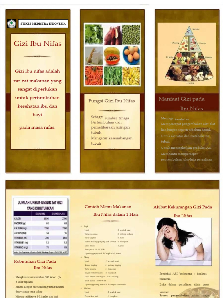 Leaflet Nutrisi Ibu | PDF