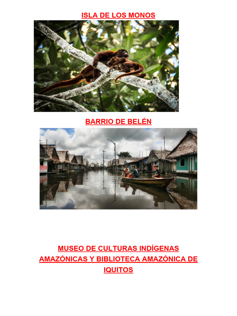 Isla de Los Monos | PDF