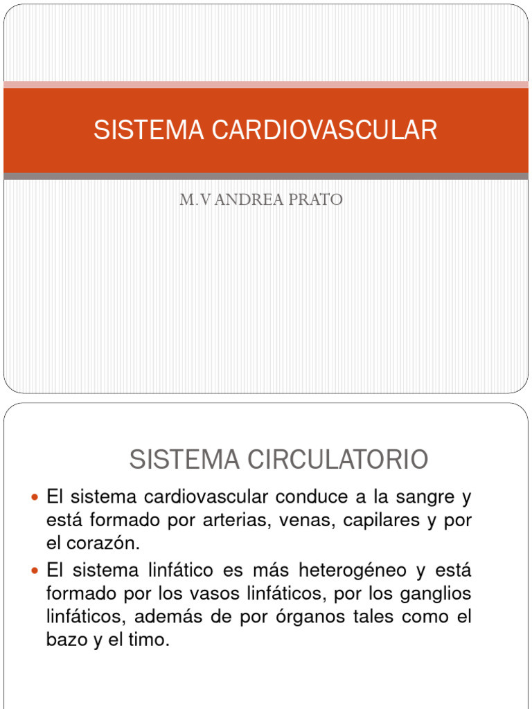 Sistema Cardio Vascular Iparte Pdf Ventrículo Corazón Corazón