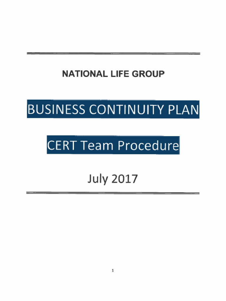 CERT Procedures | PDF