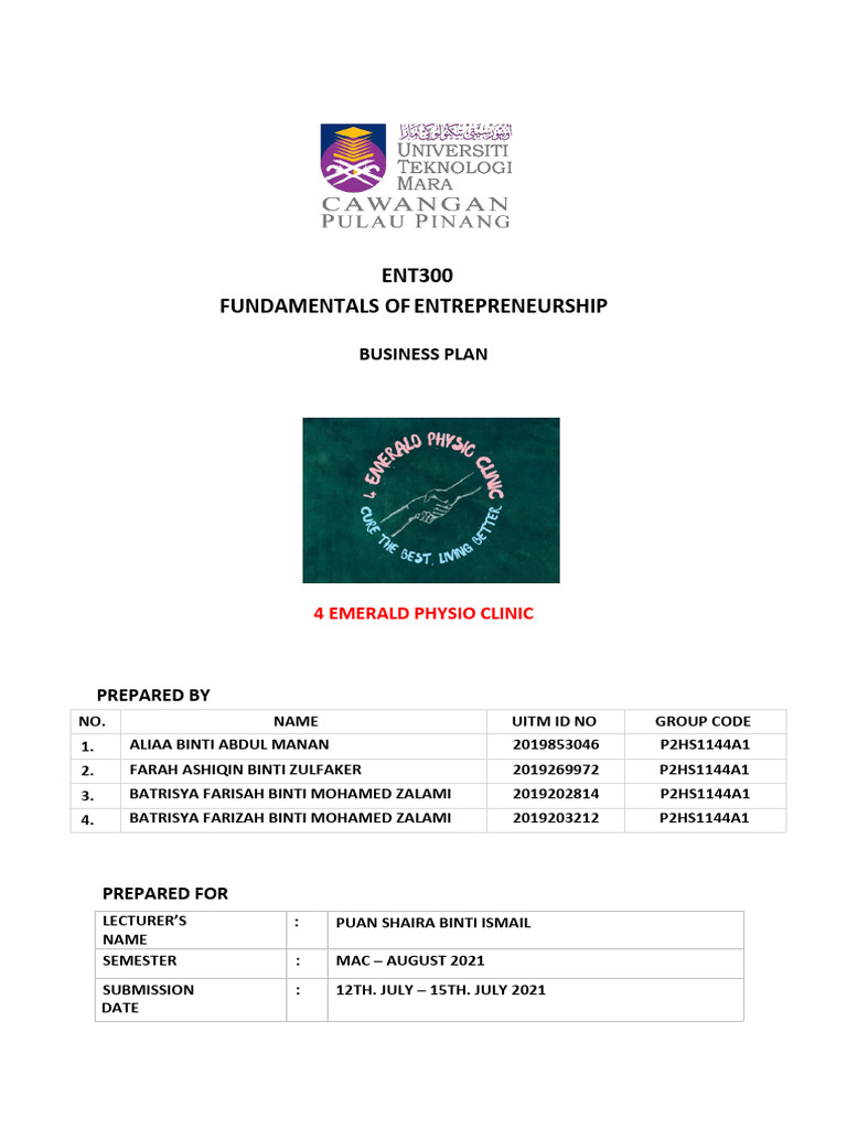 ENT300 Business Plan Report | PDF | Physical Therapy | Market Segmentation