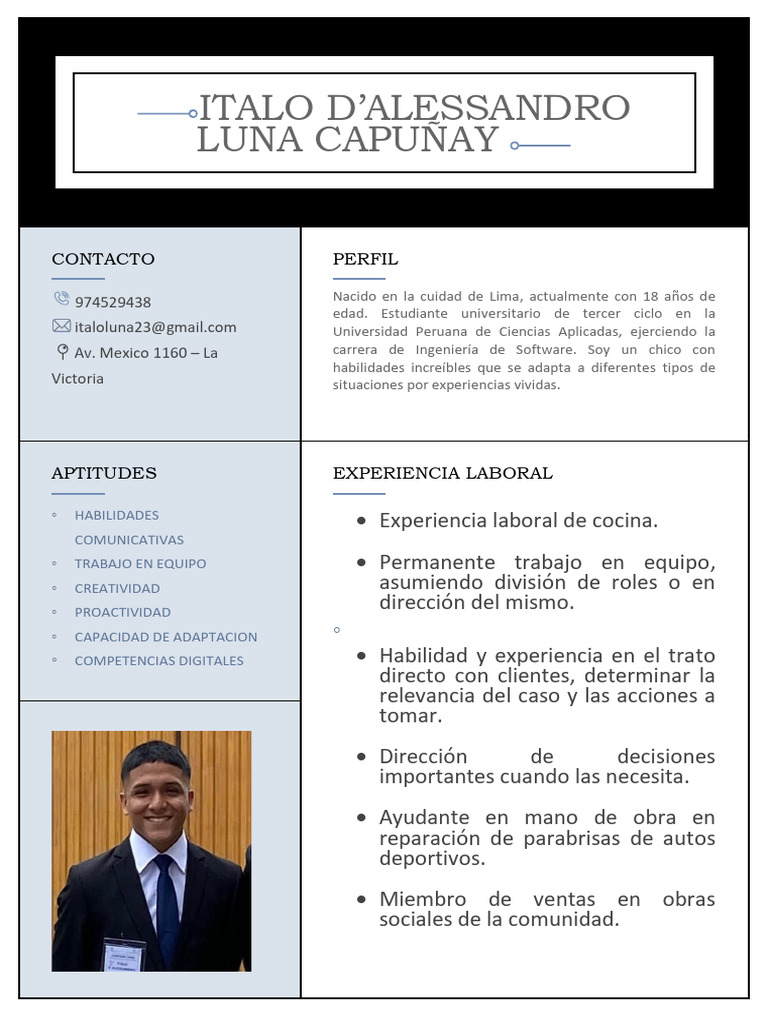 CV - Italo Luna | PDF