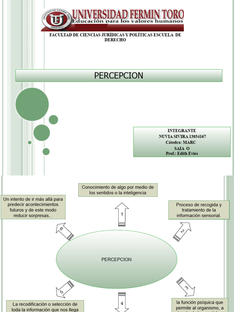 Mapa de PERCEPCION | Descargar gratis PDF | Percepción | Razonamiento deductivo