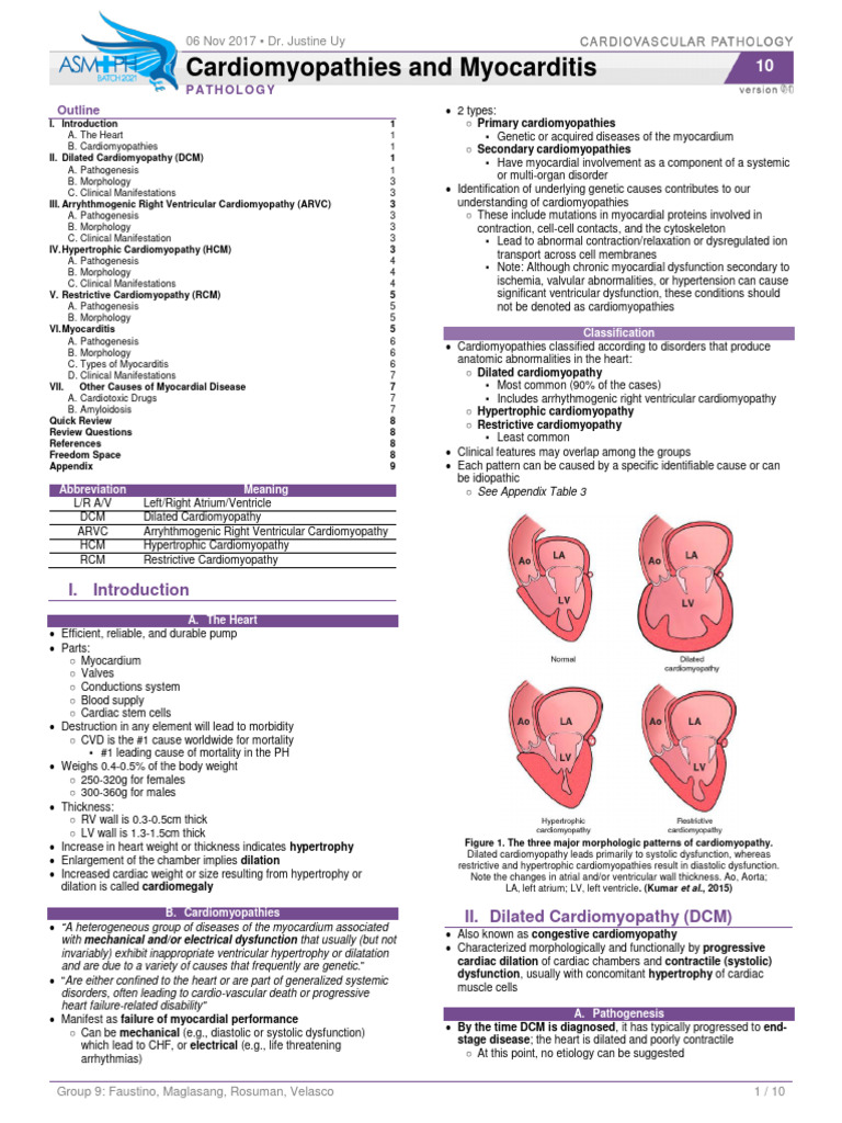 Elephant | PDF | Cardiac Muscle | Heart