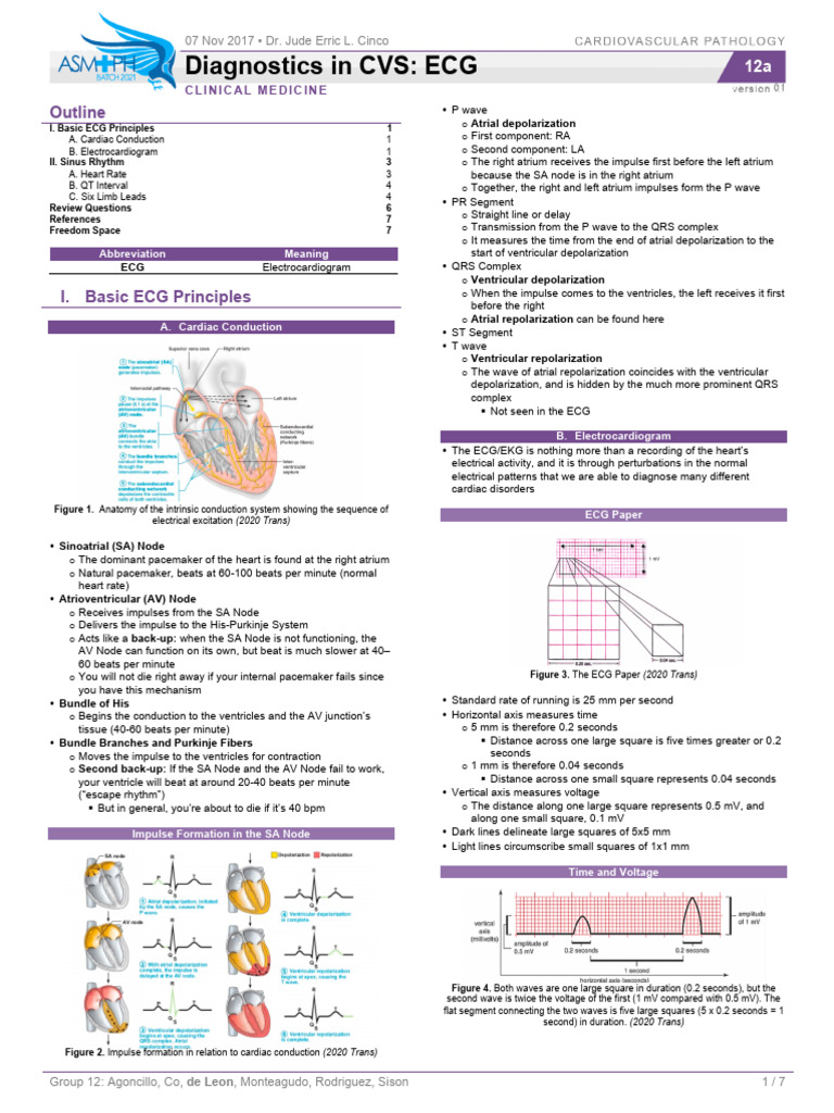 05.12a.01 Diagnostics in CVS-ECG | PDF | Electrocardiography | Electrophysiology