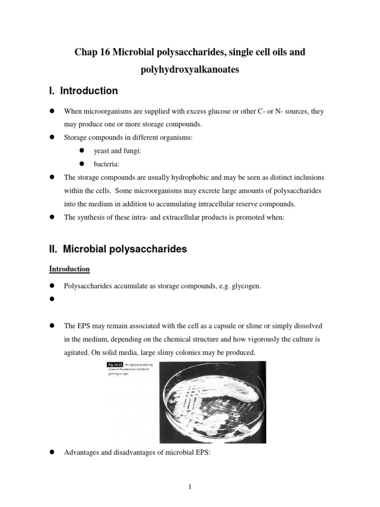 Chap16 Microbial Polysaccharides | PDF | Lipid | Fatty Acid