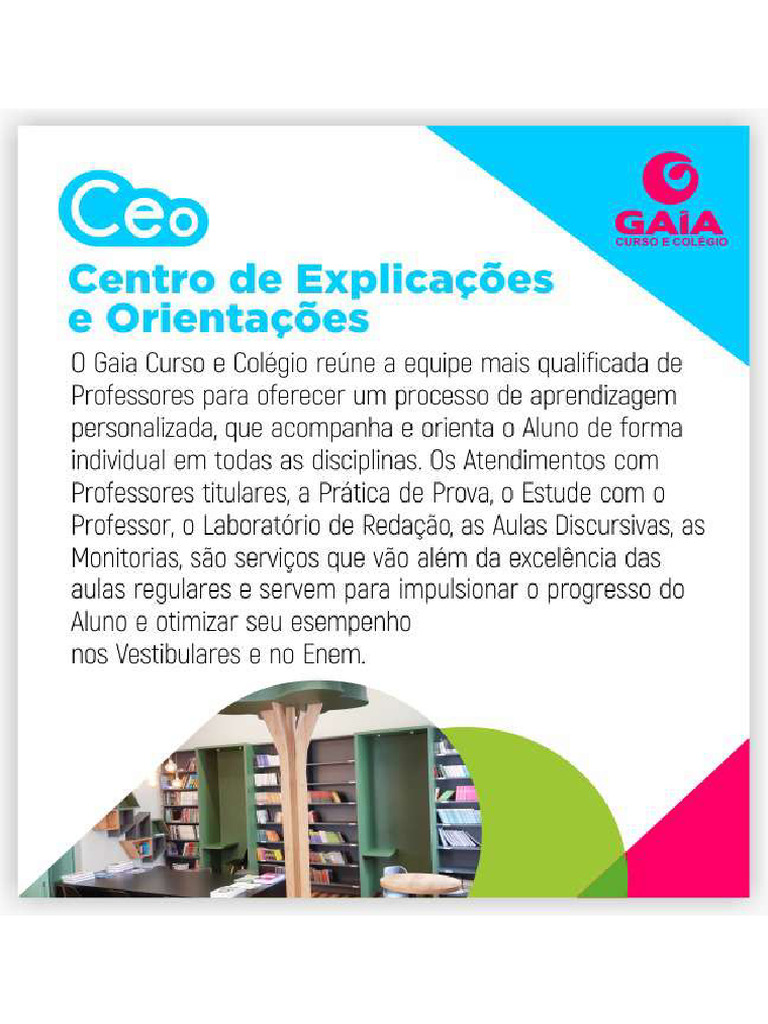 Ceo PDF | PDF