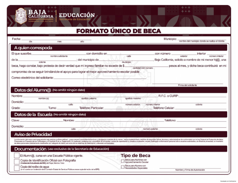 Formato Unico de Becas 2024-1 | PDF