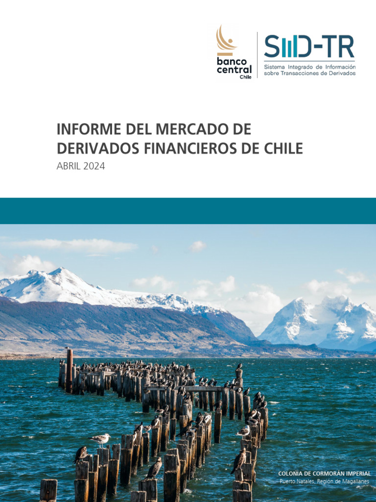 IMDF Abril 2024 | PDF | Seguro | Tipo de cambio