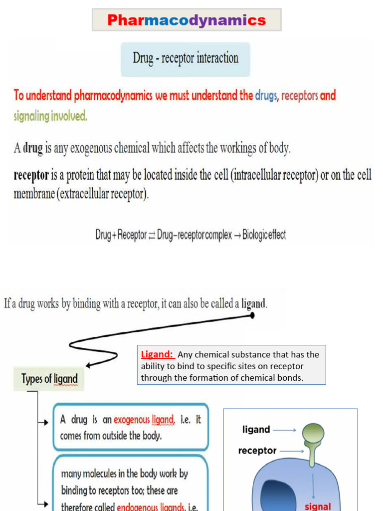 Lecture # 1 Pharmacodynamics | PDF | Receptor Antagonist | Ligand (Biochemistry)