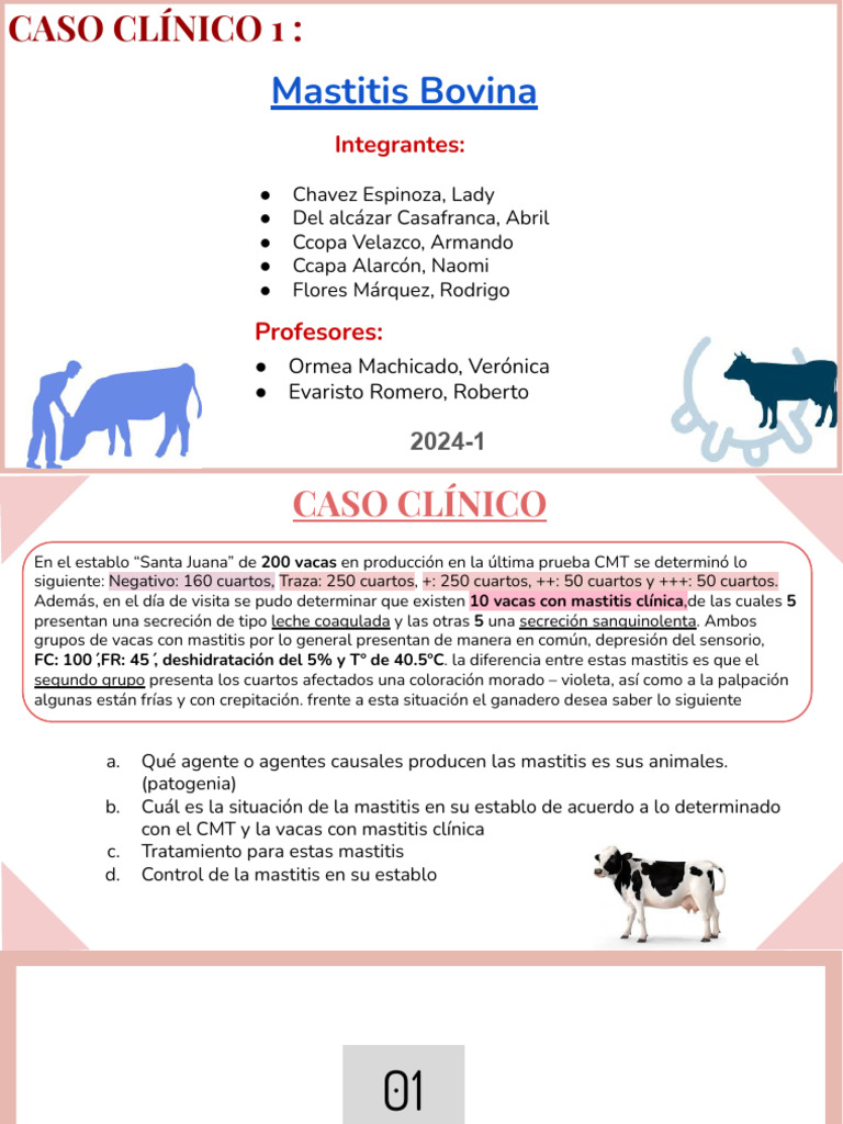 Mastitis Caso Clínico 1 | PDF | Inflamación | Leche