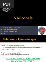 Grados de Varicocele: Clasificación y Evaluación | PDF | Sistema ...