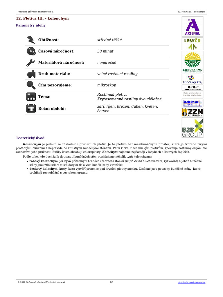 12 Pletiva 3 Kolenchym | PDF