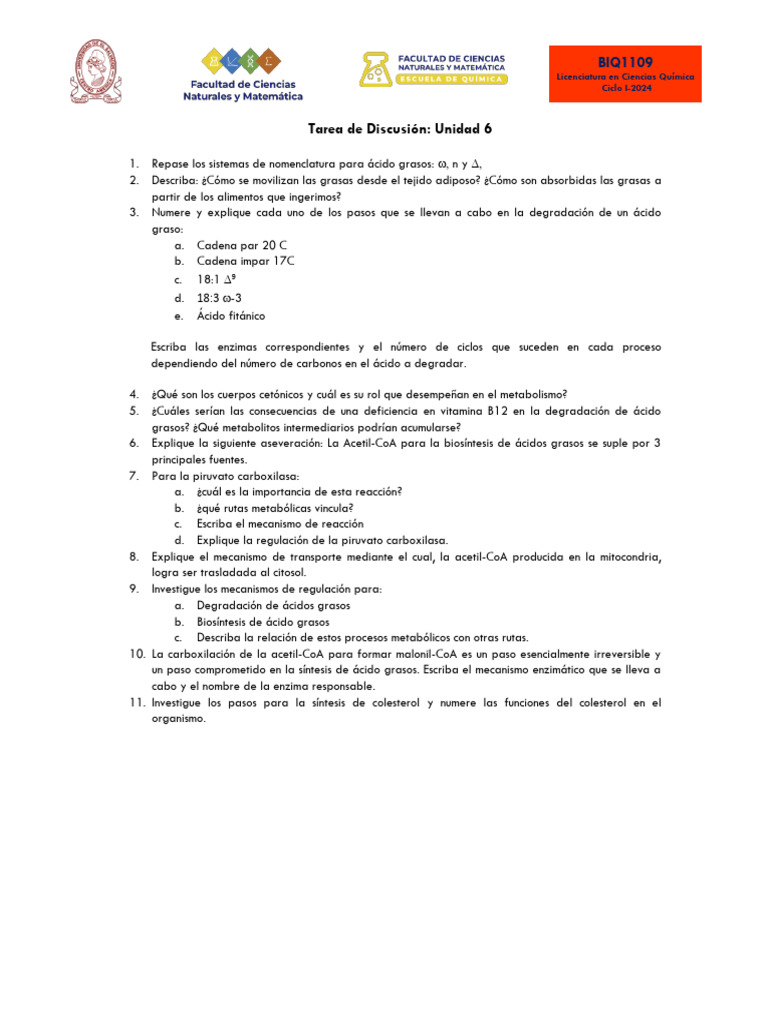 Tarea de Discusión U6 - 2024 | PDF | Metabolismo | Ácido graso