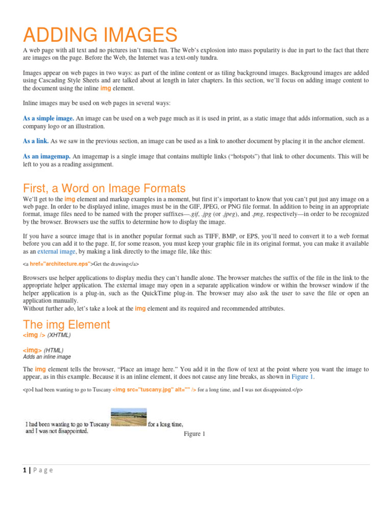 Web Site Handout 6 | Download Free PDF | Html Element | World Wide Web