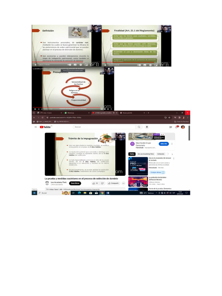 Diapositivas P.ext - Domi | PDF