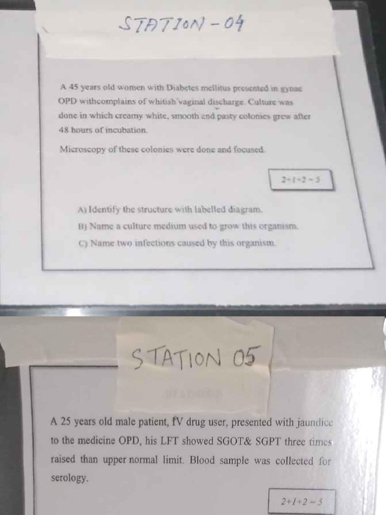 micro practical | PDF